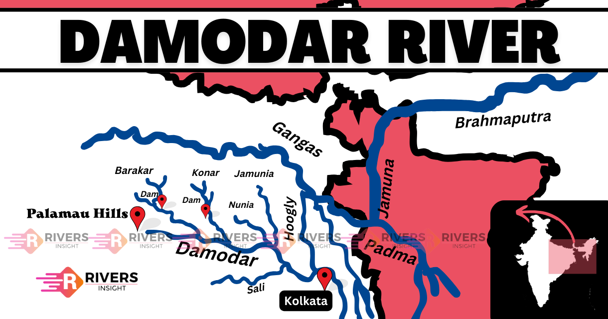Damodar River: Origin, Map, Course, Tributaries, Dams & States - Rivers ...